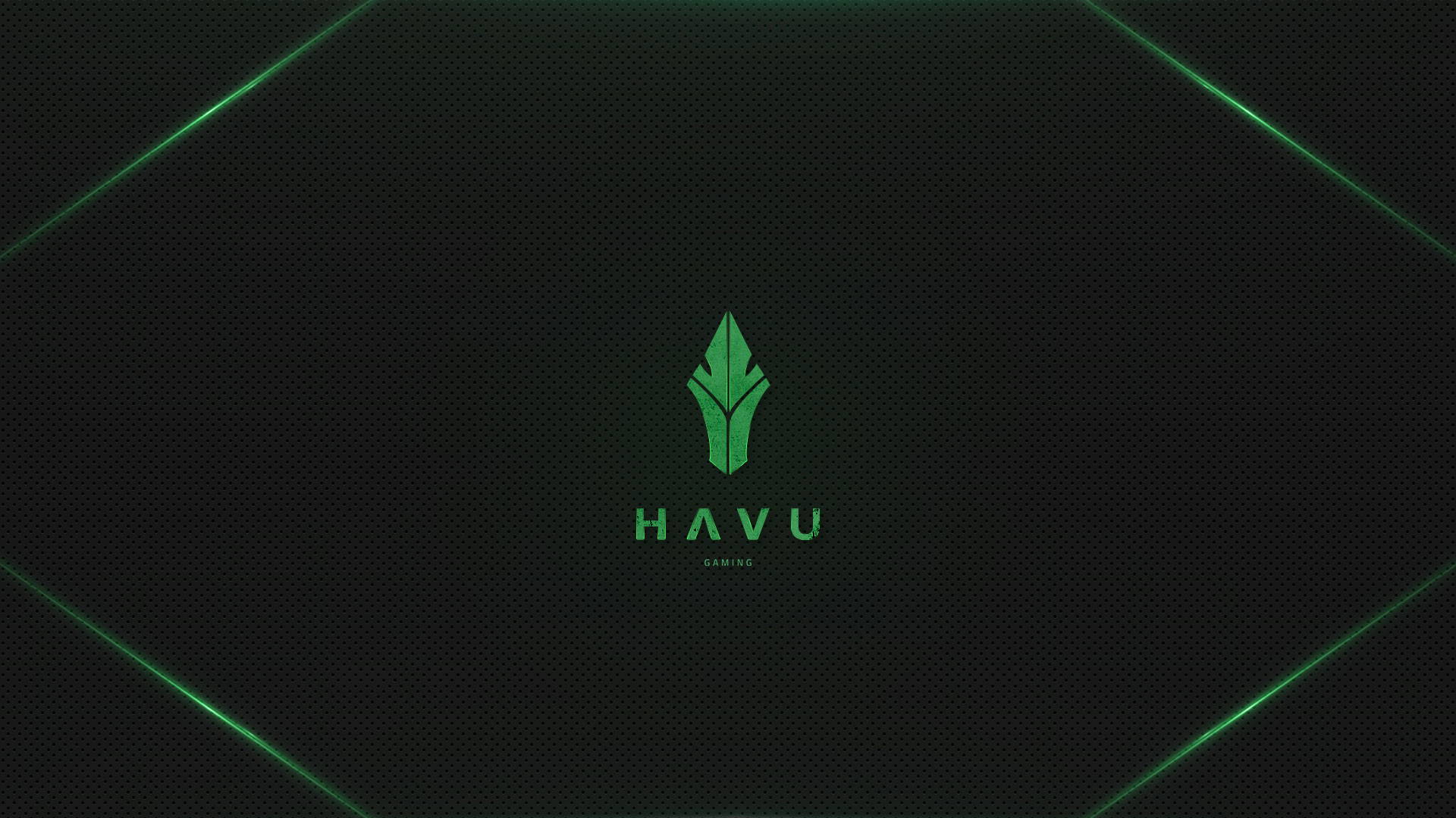 jemi regressa ao plantel principal da HAVU