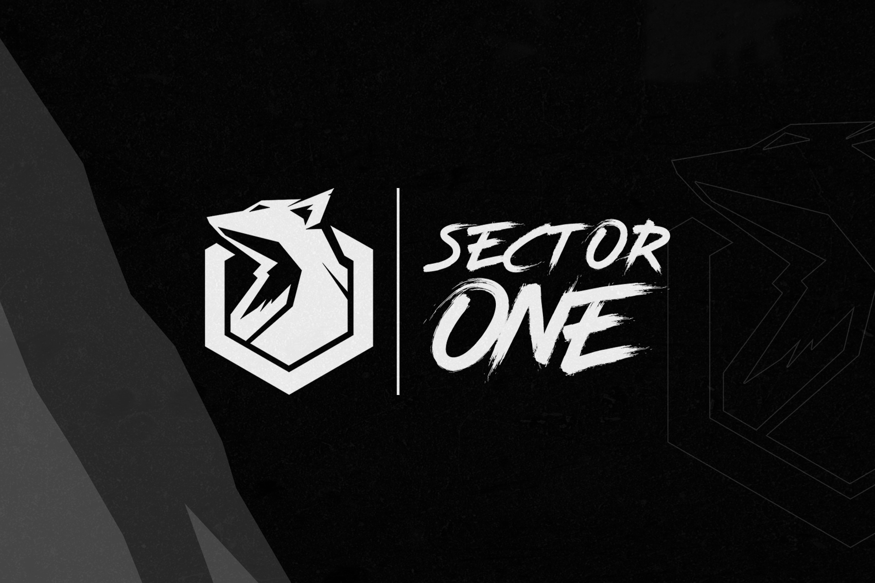 Sector One suspende atividade nos Esports