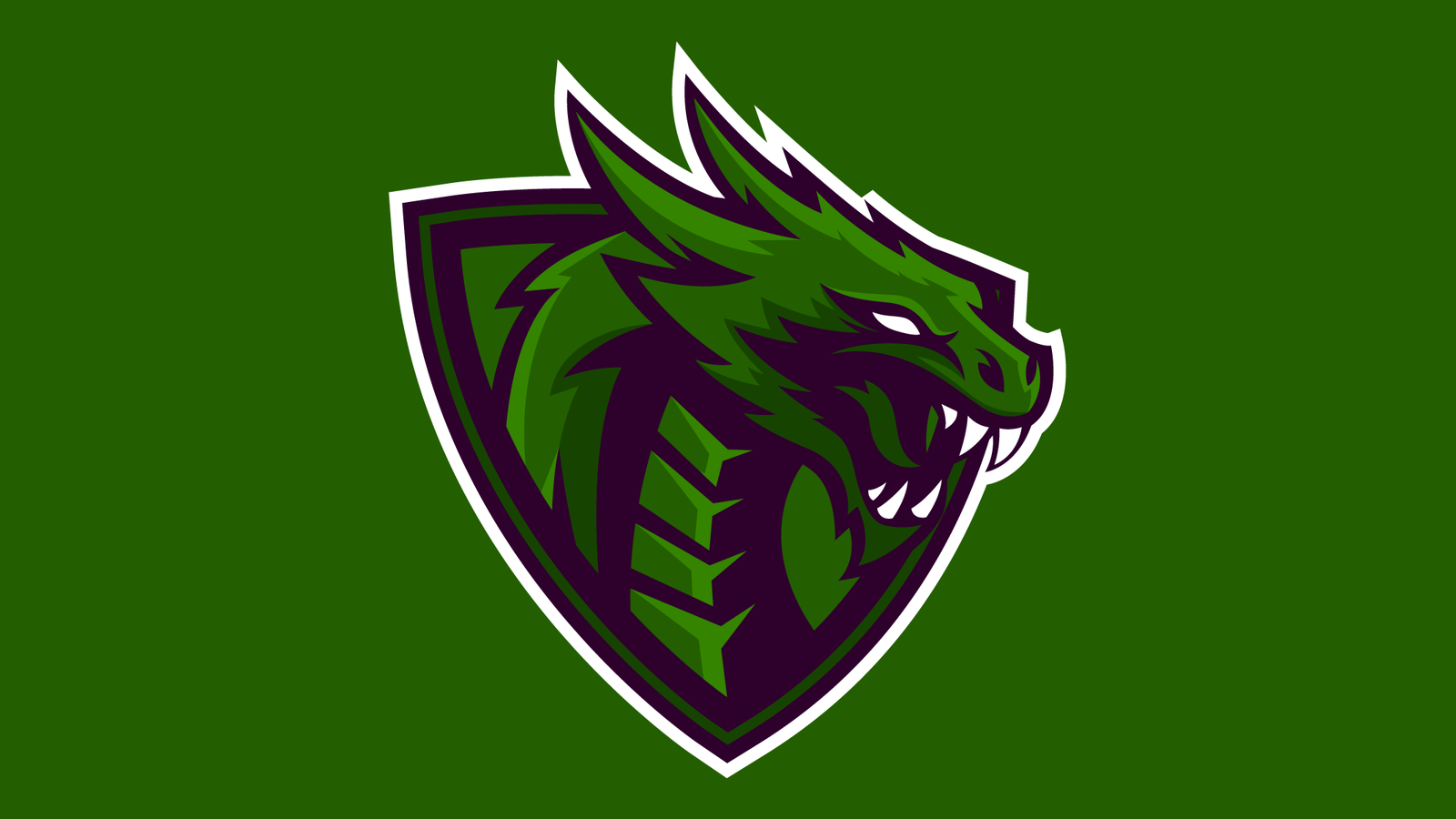 Respect apresenta equipa feminina de VALORANT