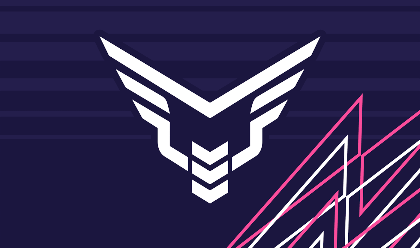 wzChico é jogador da Take Flyte